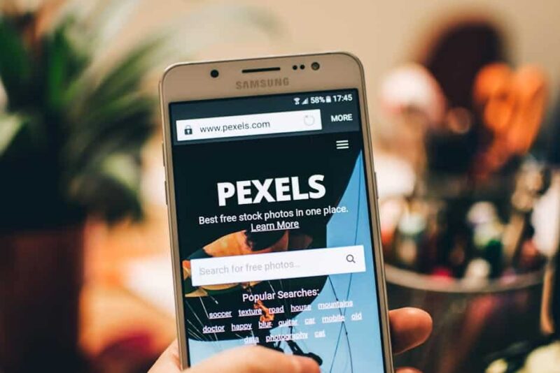 Exploring Excellence: Best Examples of Mobile Responsive Websites